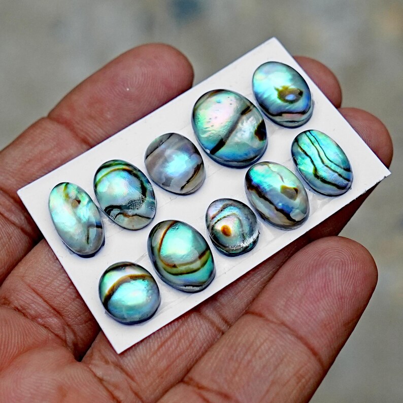 Abalone Paua Shell Cabochon Doublet Flatback Loose Gemstones for ...