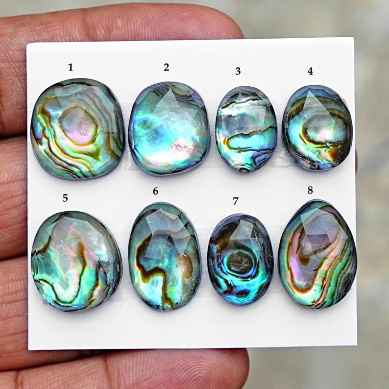 Abalone Cabochon Doublet Paua Shell Rose Cut Natural Flatback Loose ...