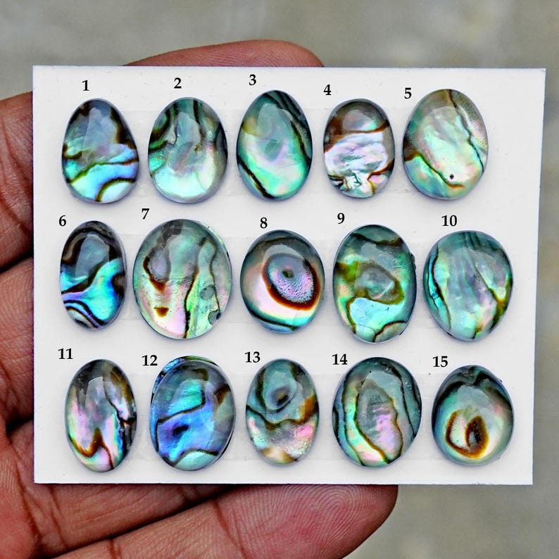 Abalone Paua Shell Cabochon Doublet Flatback Loose Gemstones for ...