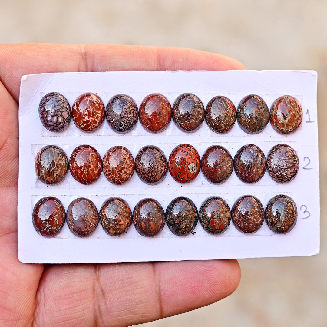 8 Pcs Lot Calibrated Natural Dinosaur Bone Smooth Cabochon 9x11mm Oval ...
