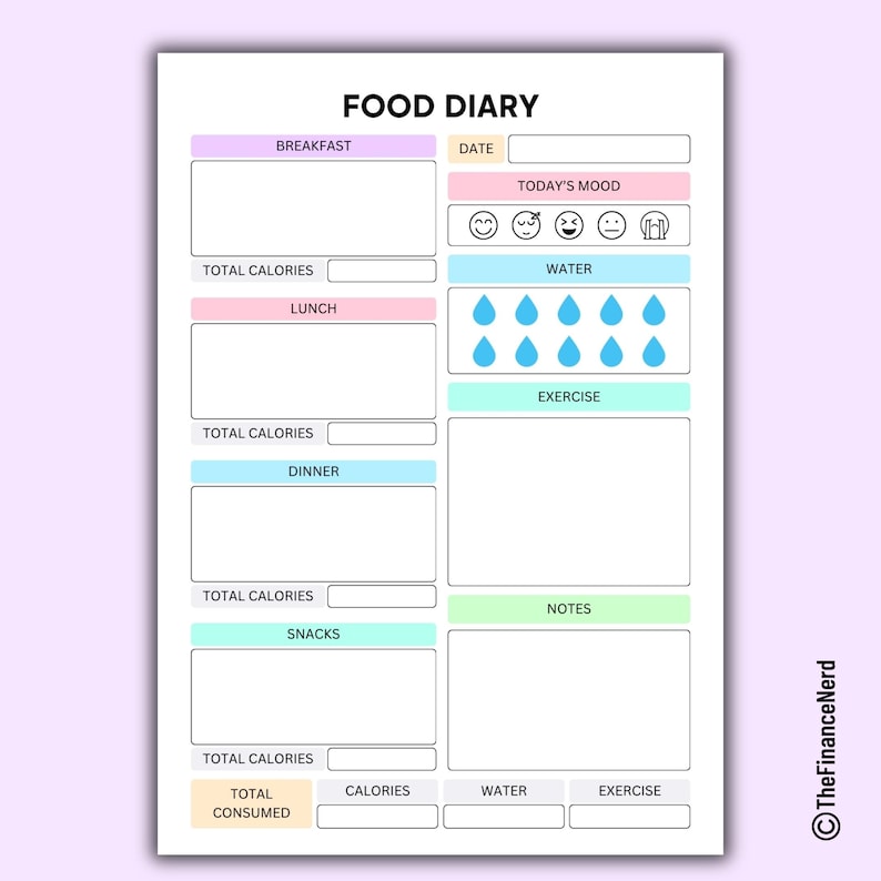 Editable Food Diary Journal, Daily Food Journal, Daily Food Planner ...