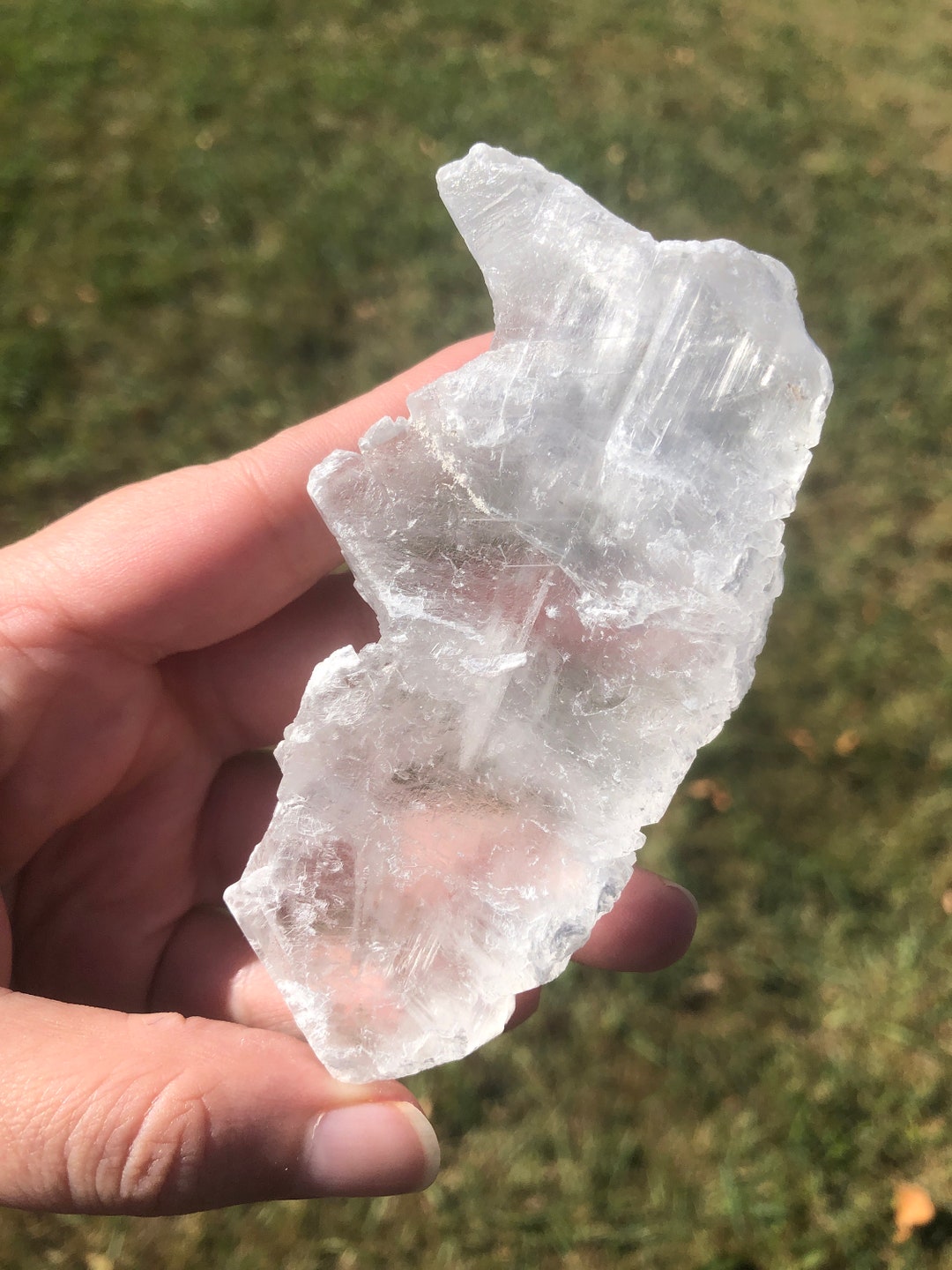 Fishtail Selenite, Torreón Mexico; Gypsum Variation; Raw Crystal ...