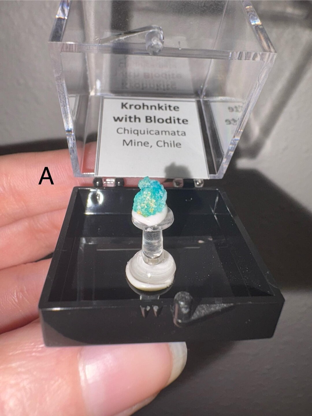 Krohnkite Blodite Thumbnail Chiquicamata Mine Chile Rare Copper Sulfate ...