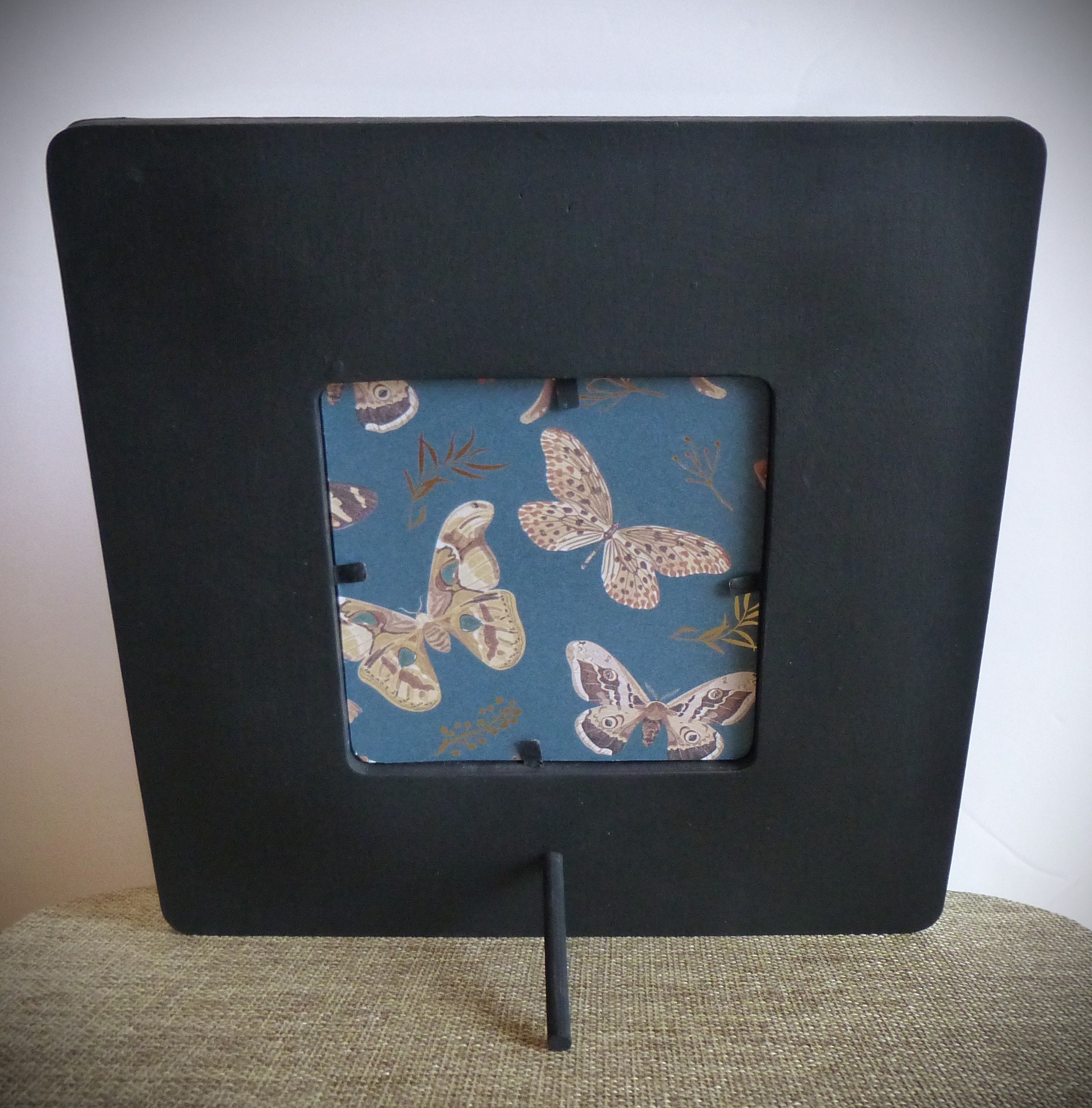 Vintage Moths Photo Frame Picture Frame Square Frame Entomology ...