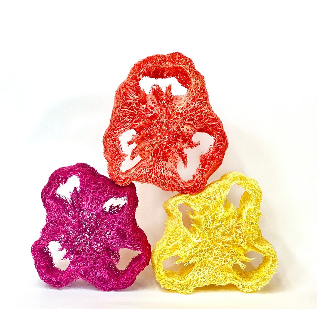 BEANIE'S SUMMER TRIO | Flavored Loofahs | 100% Organic and Healthy ...