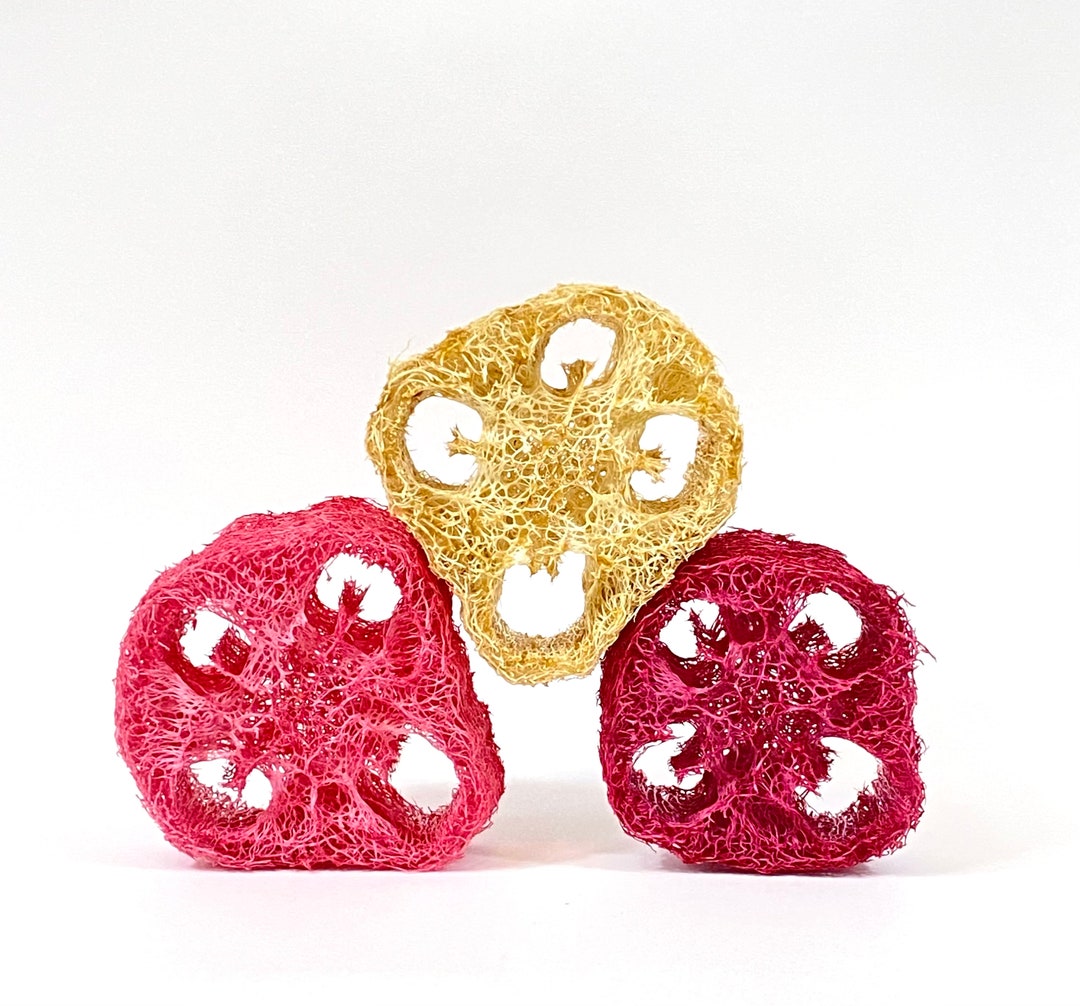 FLAVORED LOOFAHS | 100% Organic and Healthy | Bunny Loofah Chew, Rabbit ...