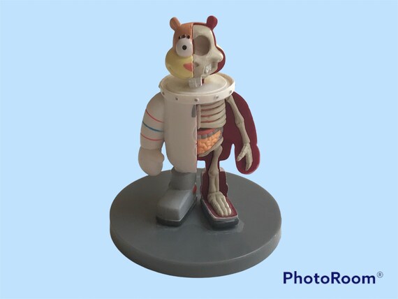 RARE Sandy Cheeks Spongebob Squarepants Hidden Dissectibles - Etsy