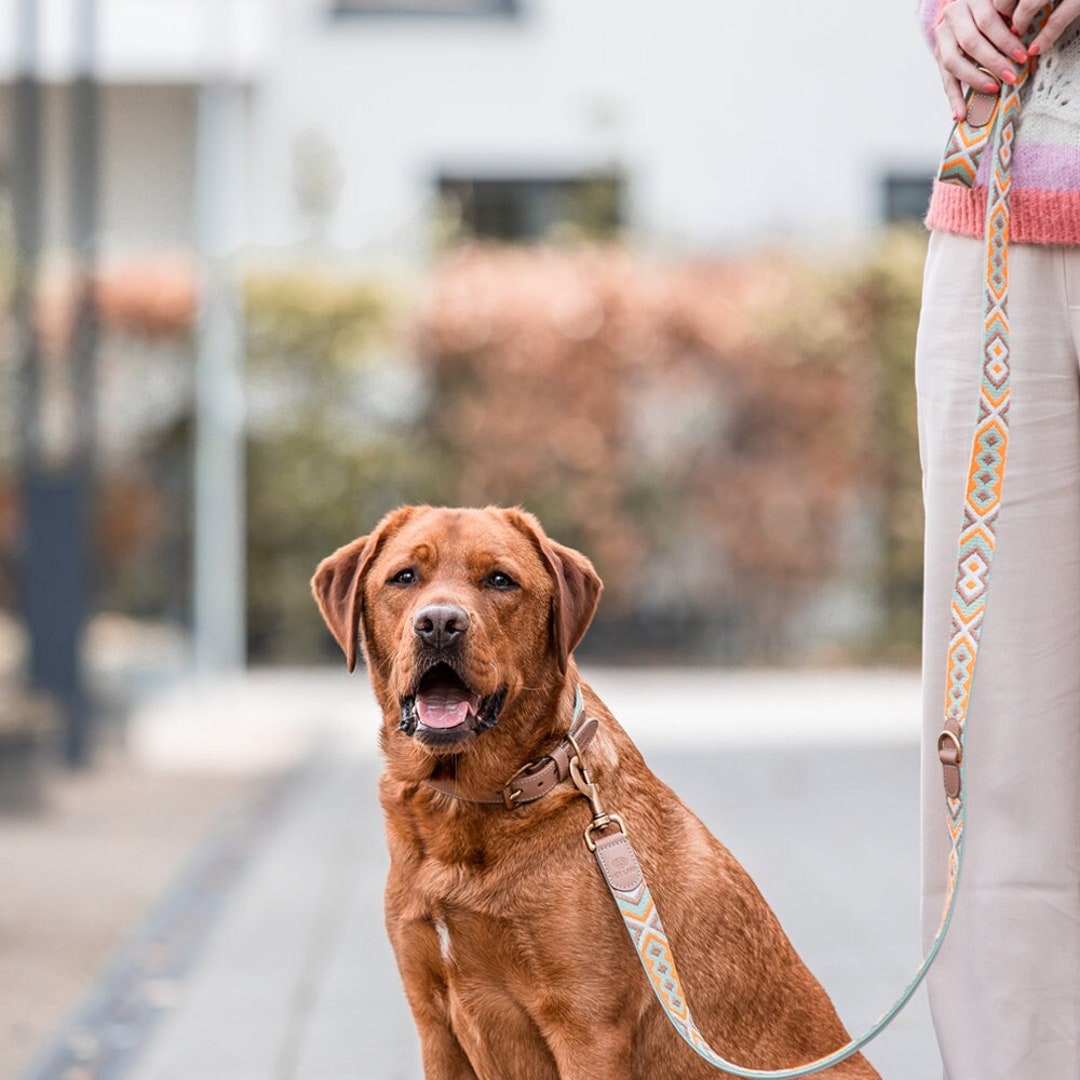 Premium Dog Leash - 3-way Adjustable - 2 M - Etsy