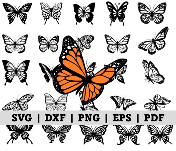 Butterfly SVG Bundle Pack Over 100 Files Butterflies Svg - Etsy