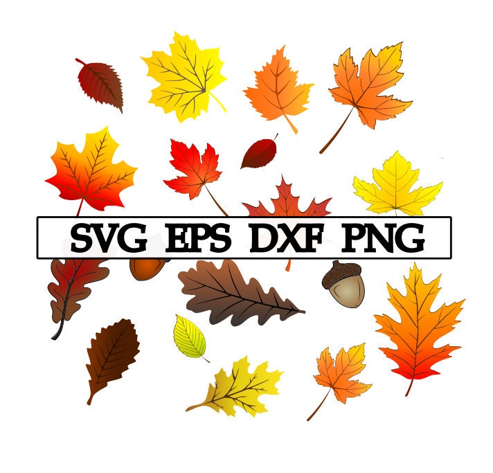 Fall Leaves SVG Bundle Autumn Svg Colorful Leaves Svg - Etsy