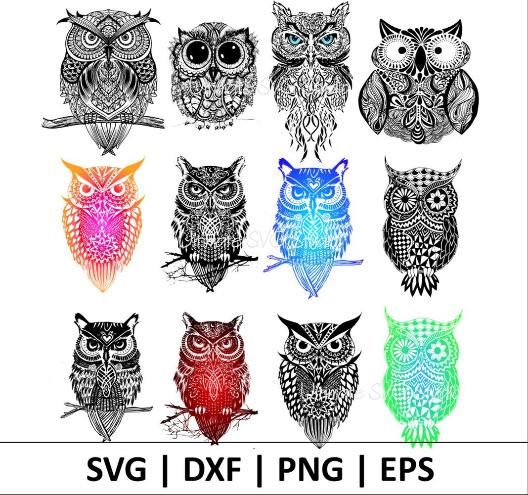 Owl SVG Bundle Pack Birds of Prey Svg Cute Owl Svg SVG - Etsy Canada
