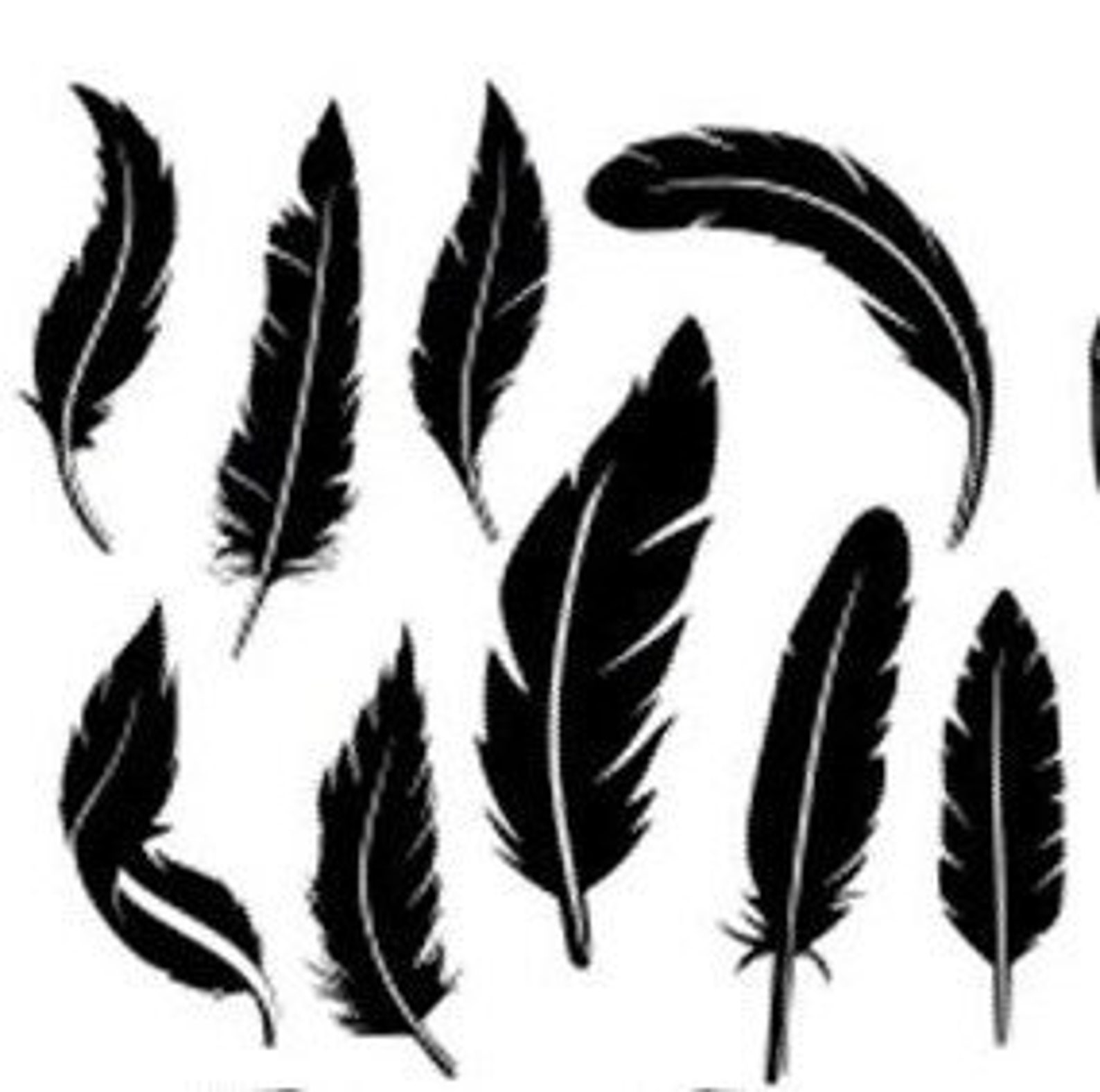 Feather SVG Bundle Bird Svg SVG Eps DXF Png Pdf Commercial License - Etsy