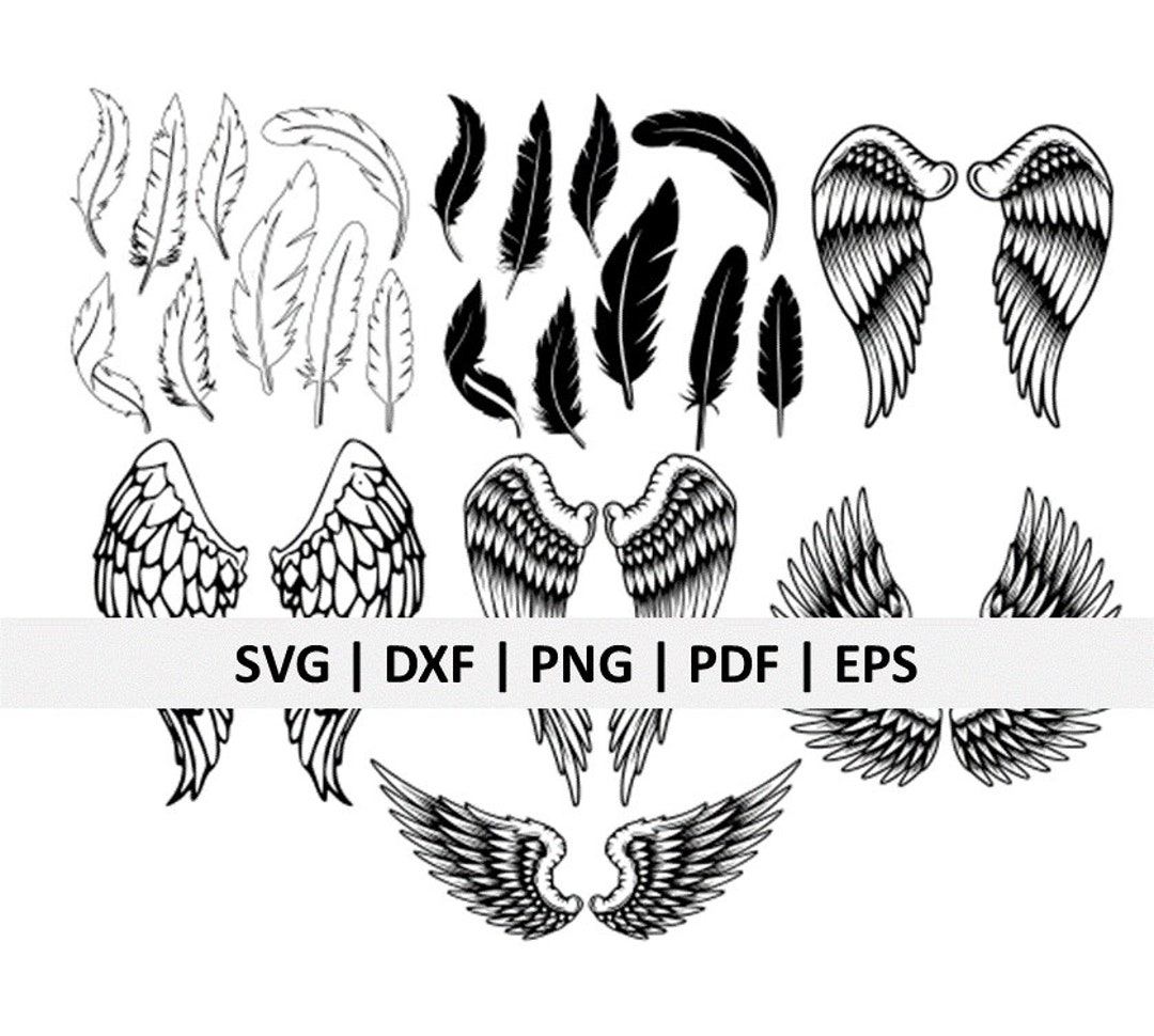 Wings and Feathers SVG Bundle Bird Svg Angel Svg Feather - Etsy
