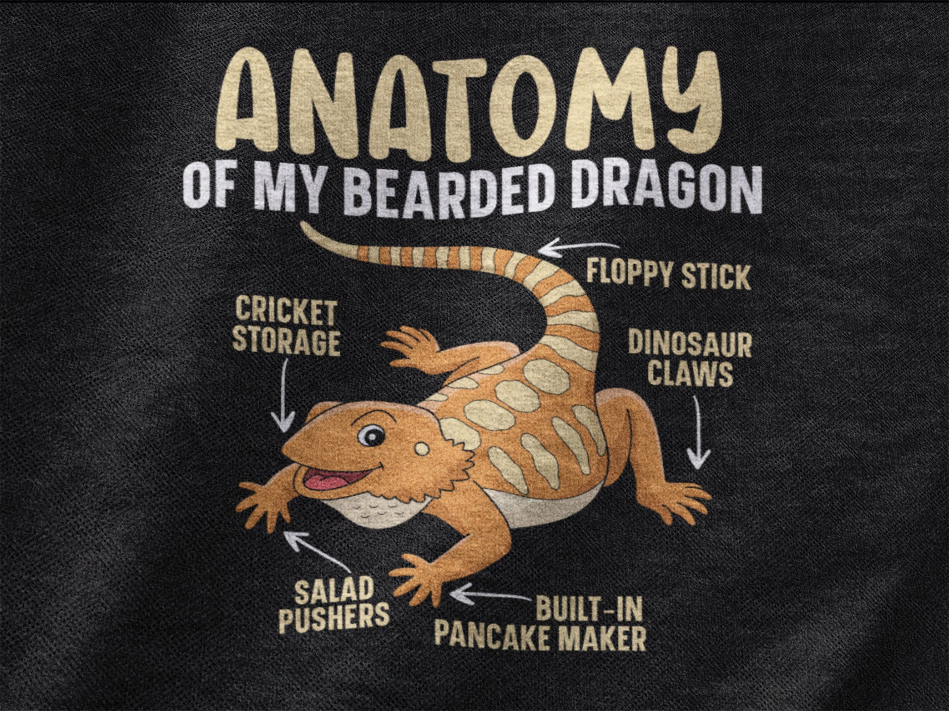 Anatomy Of A Bearded Dragon Anatomy Retailer Of A Bearded Dragon
