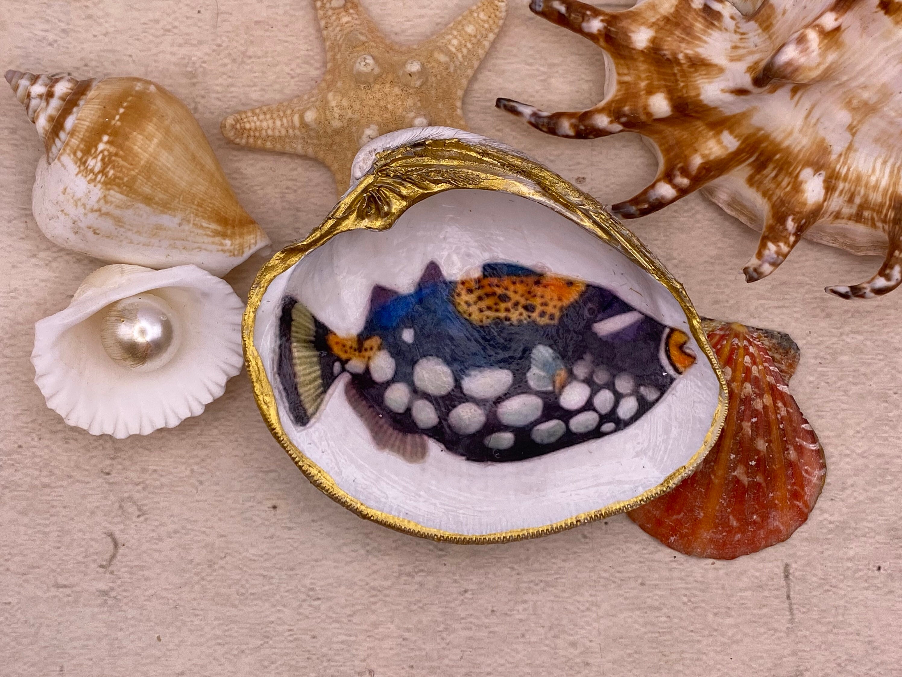 Marine Fish Decoupage Clam Shell Ring Holder - Etsy