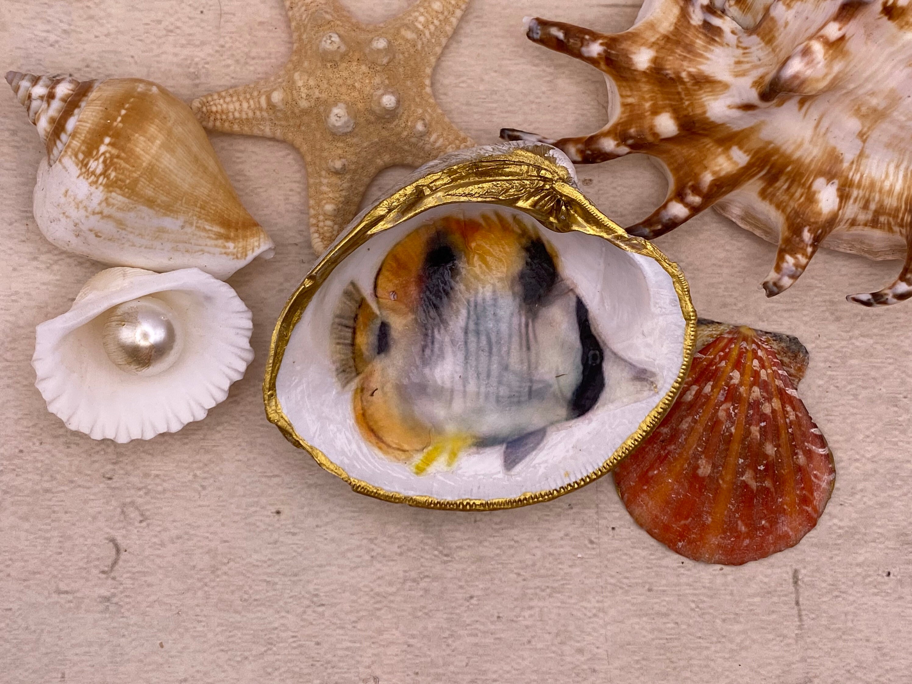 Marine Fish Decoupage Clam Shell Ring Holder - Etsy