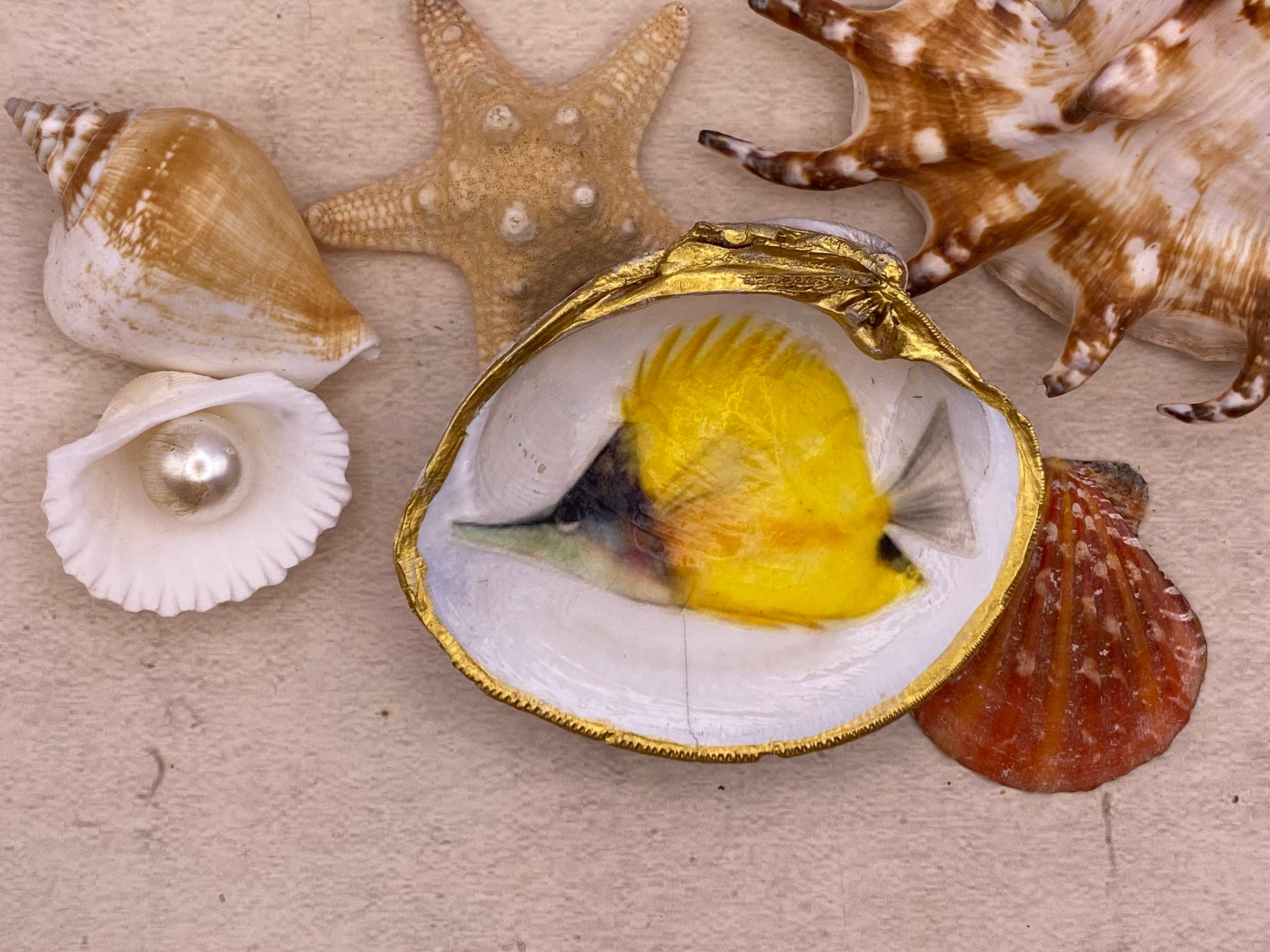 Marine Fish Decoupage Clam Shell Ring Holder - Etsy