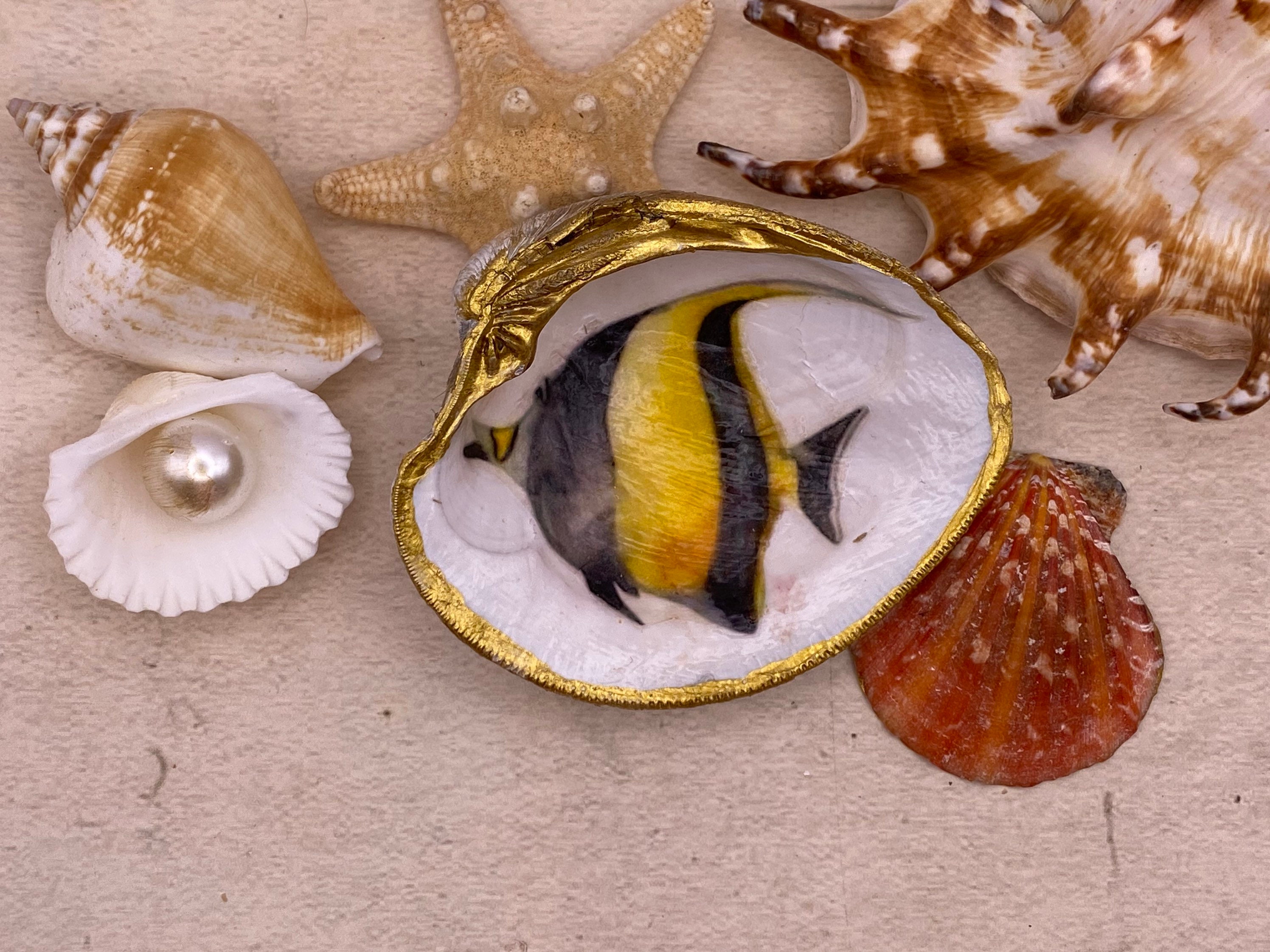 Marine Fish Decoupage Clam Shell Ring Holder - Etsy