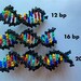 Realistic DNA Model 3d-printed - Etsy