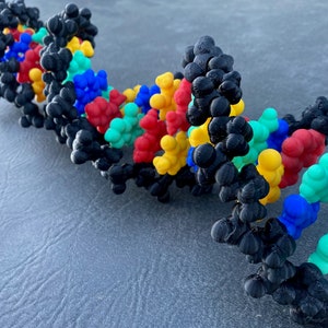 Dna - Etsy