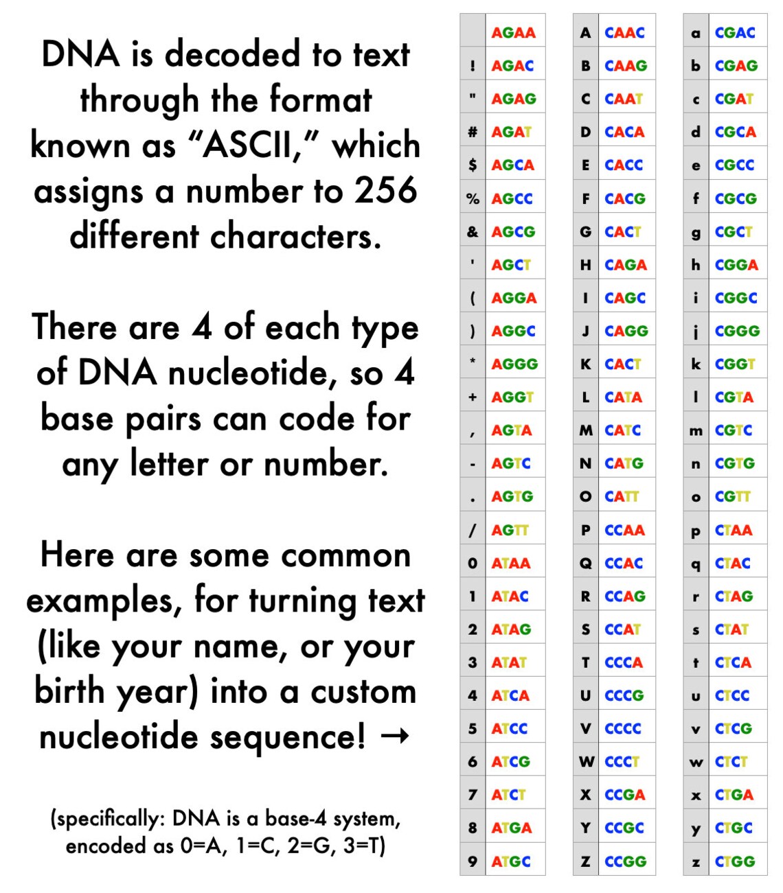 Realistic DNA Model 3d-printed - Etsy