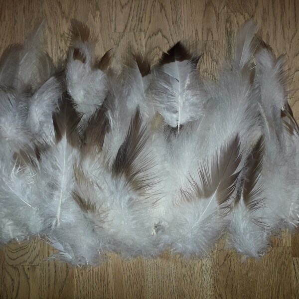 Golden Eagle Feather Real - Etsy