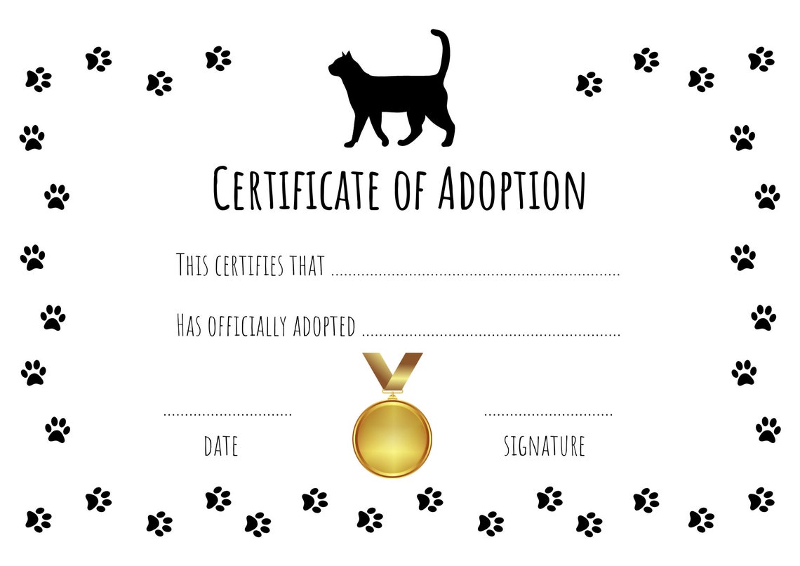 Printable Digital Certificate Cat Certificate of Adoption 2 - Etsy Printable Digital Certificate Cat Certificate of Adoption 2 - Etsy