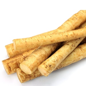 Fresh Whole Burdock Root, Gobo Root - Cannot Ship to CA, HI - Etsy