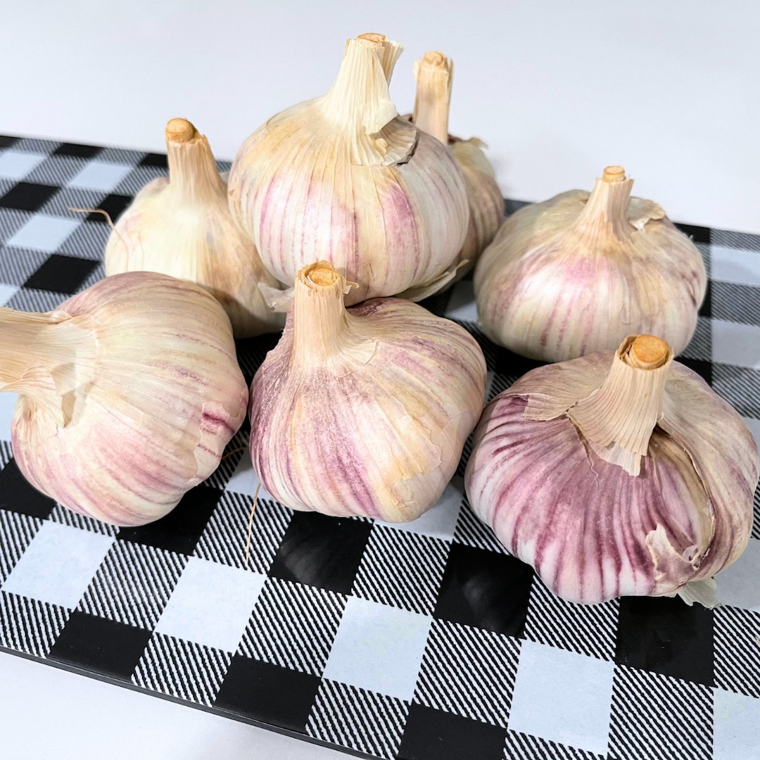 Purple Garlic, Perfect for Planting, Cooking - 1LB - Cannot Ship to CA ...