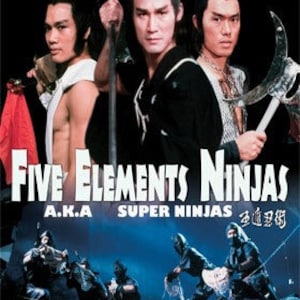 Five Elements Ninjas A.k.a. Super Ninjas (1982) Dvd - Etsy