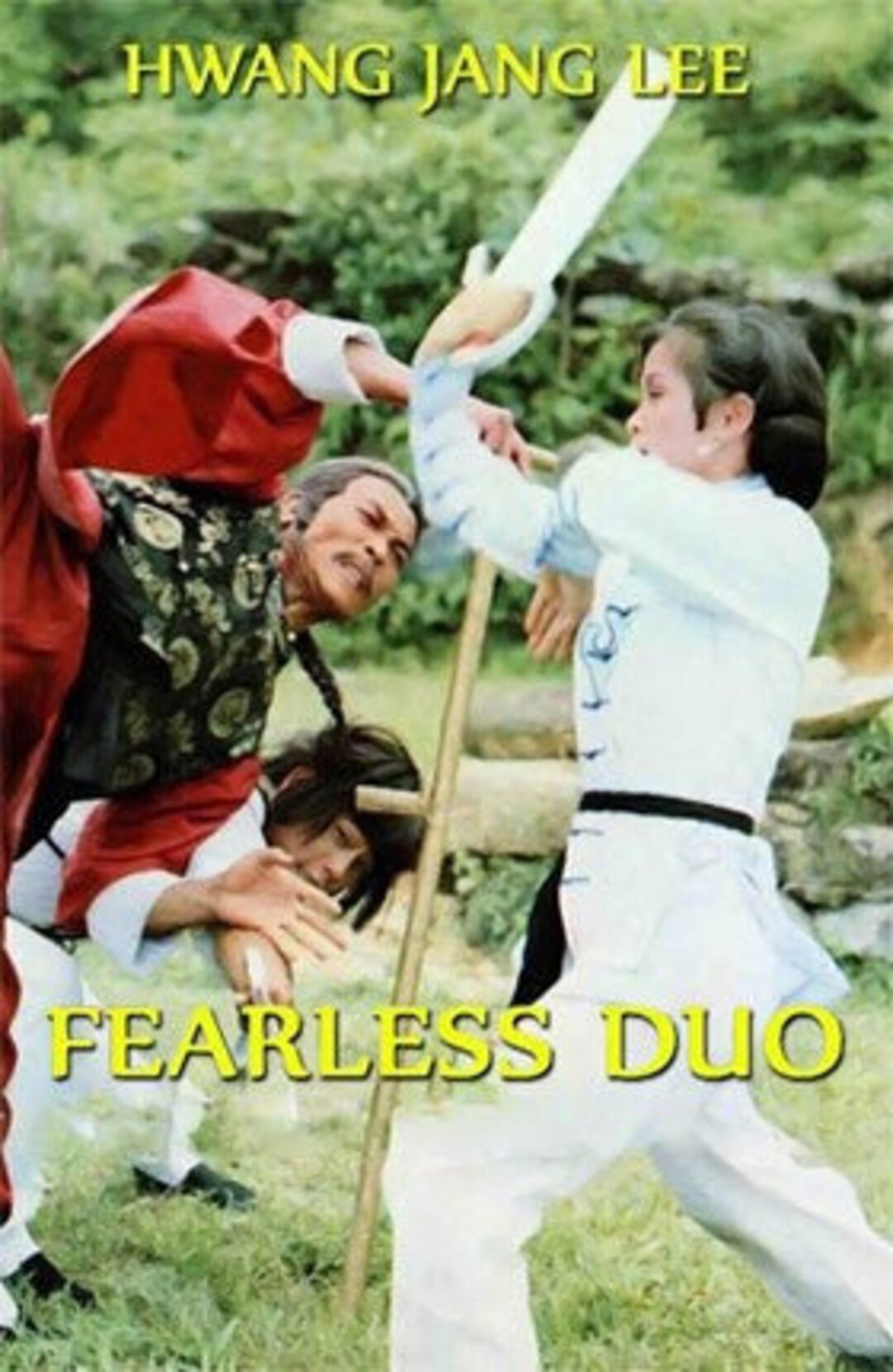 Fearless Duo 1978 DVD | Cult Classic Kung Fu Martial Arts Movie DVD | Vintage Action Collectible ...
