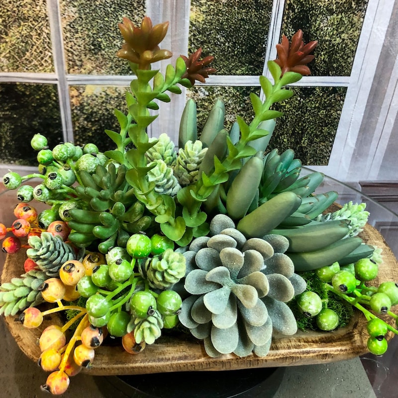 Succulent Garden - Etsy