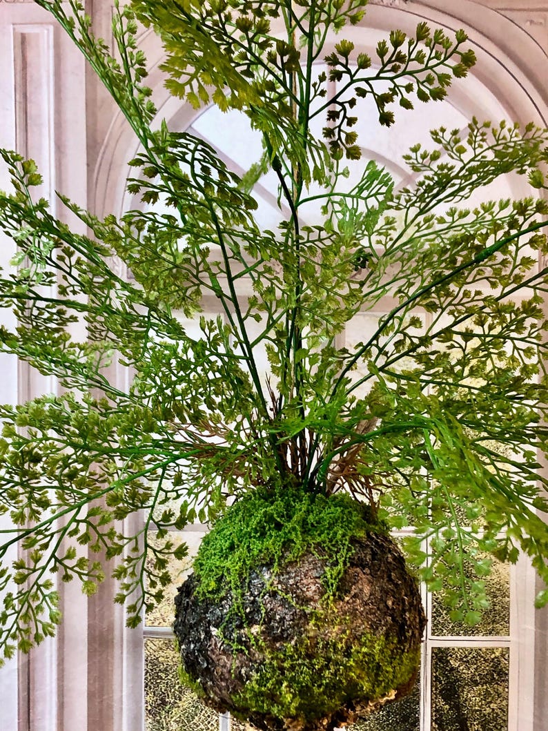 Large Artificial Maidenhair Fern Kokedama: Hanging Faux Moss Ball ...