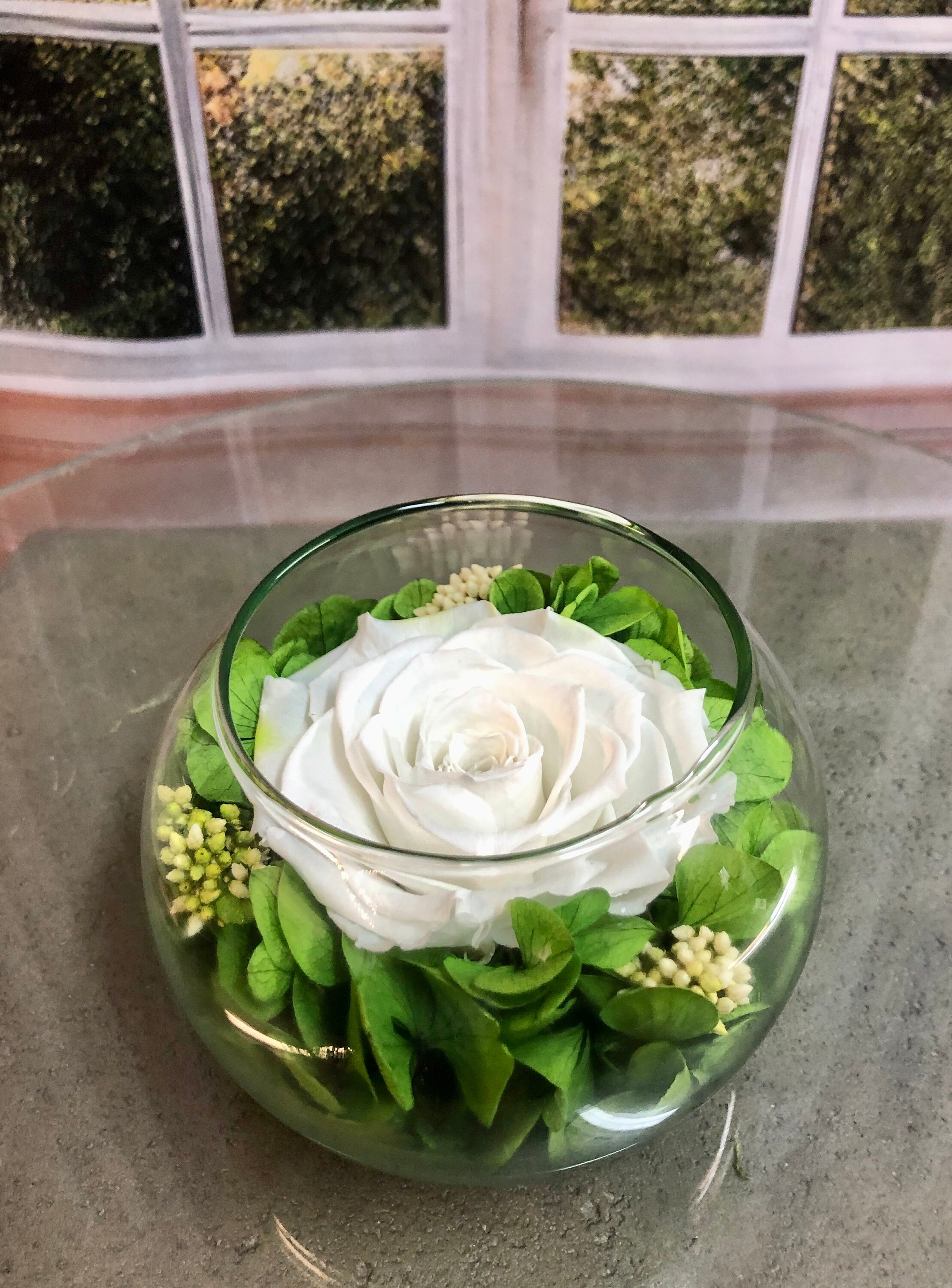 Preserved White Rose in Glass Bowl, Elegant Rose Gift, Large Ecuadorian ...