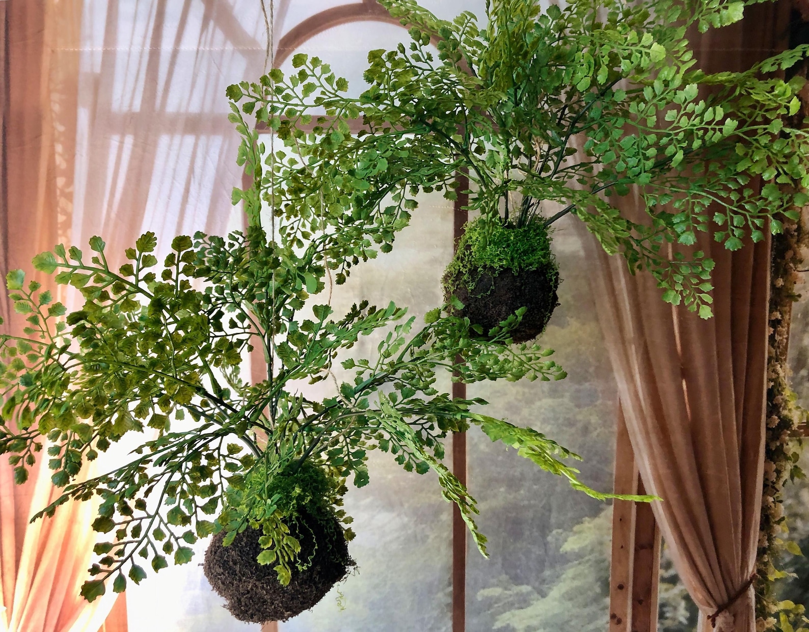 Maidenhair Fern Kokedama: Hanging Faux Moss Ball Arrangement, Zero Care ...