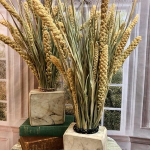 Natural Foxtail Millet Grass Bouquet Arranged in Distressed Caddy, Real ...