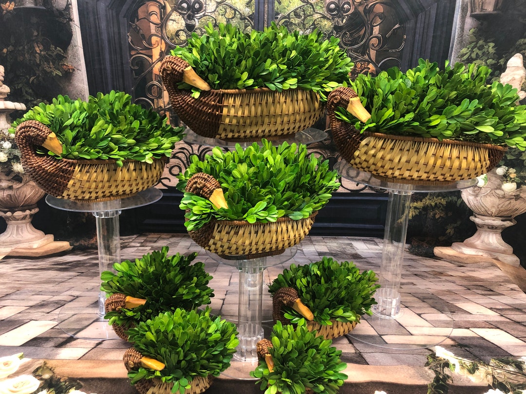 Preserved Boxwood Duck Topiary: Wicker Basket, Nature Decor - Etsy