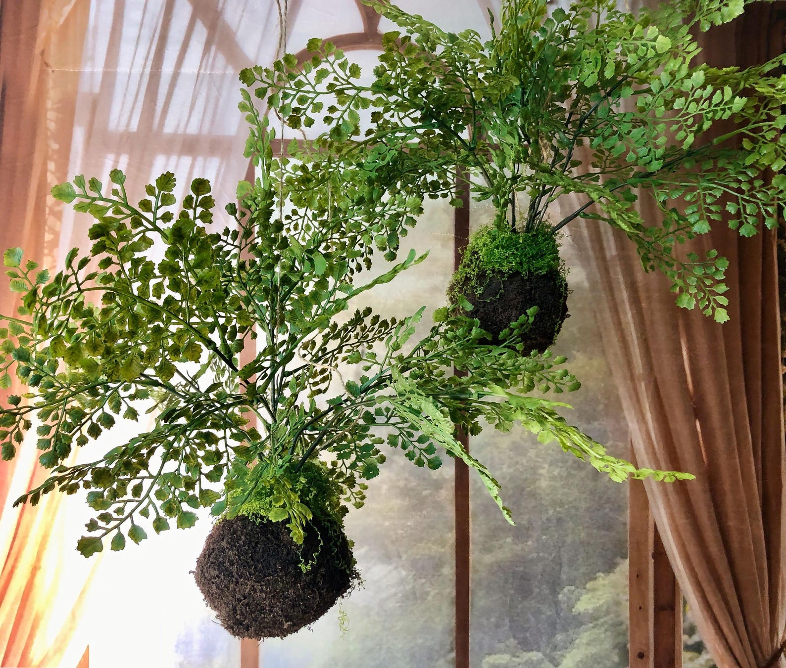 Maidenhair Fern Kokedama: Hanging Faux Moss Ball Arrangement, Zero Care ...