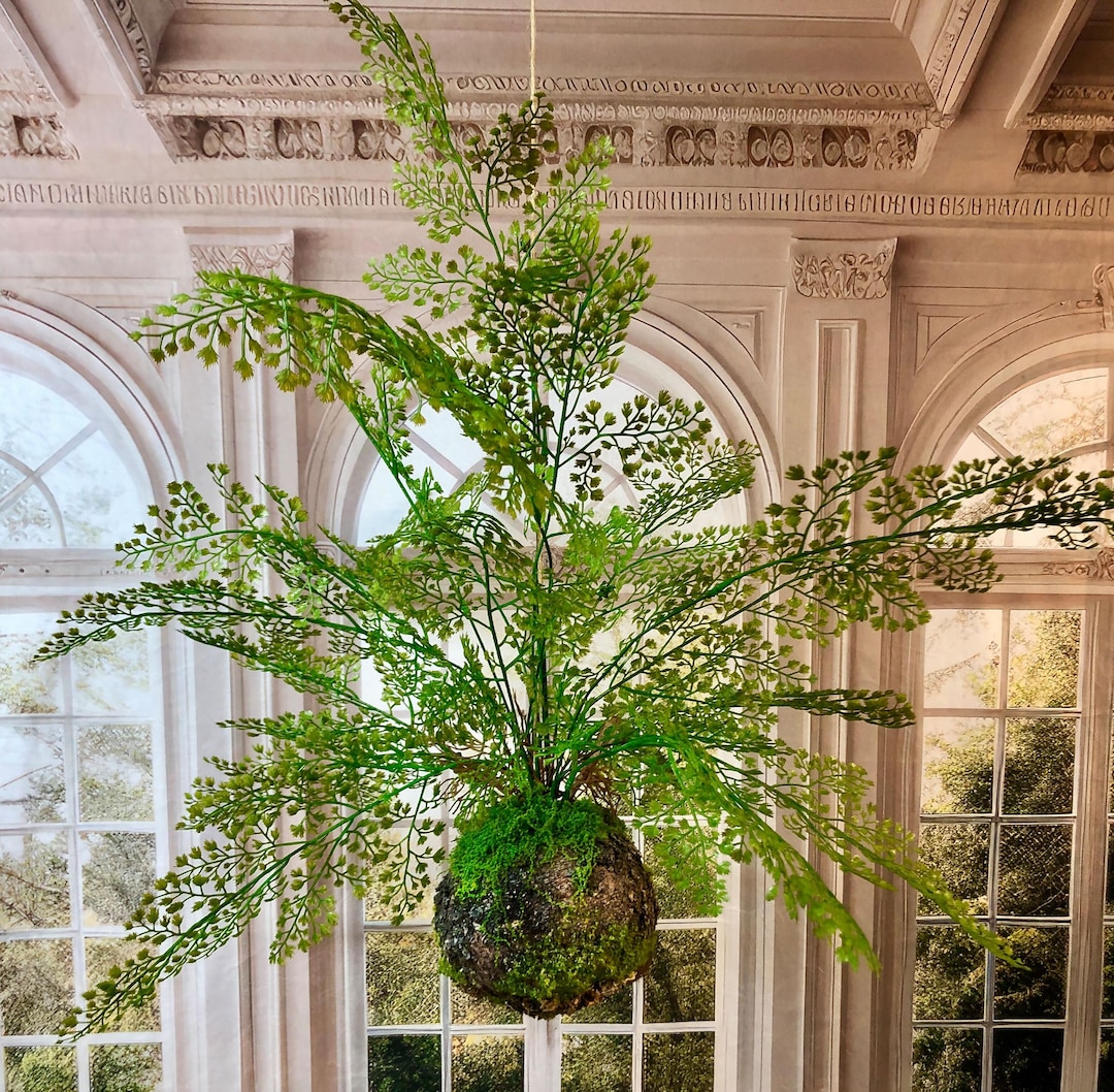 Large Artificial Maidenhair Fern Kokedama: Hanging Faux Moss Ball ...
