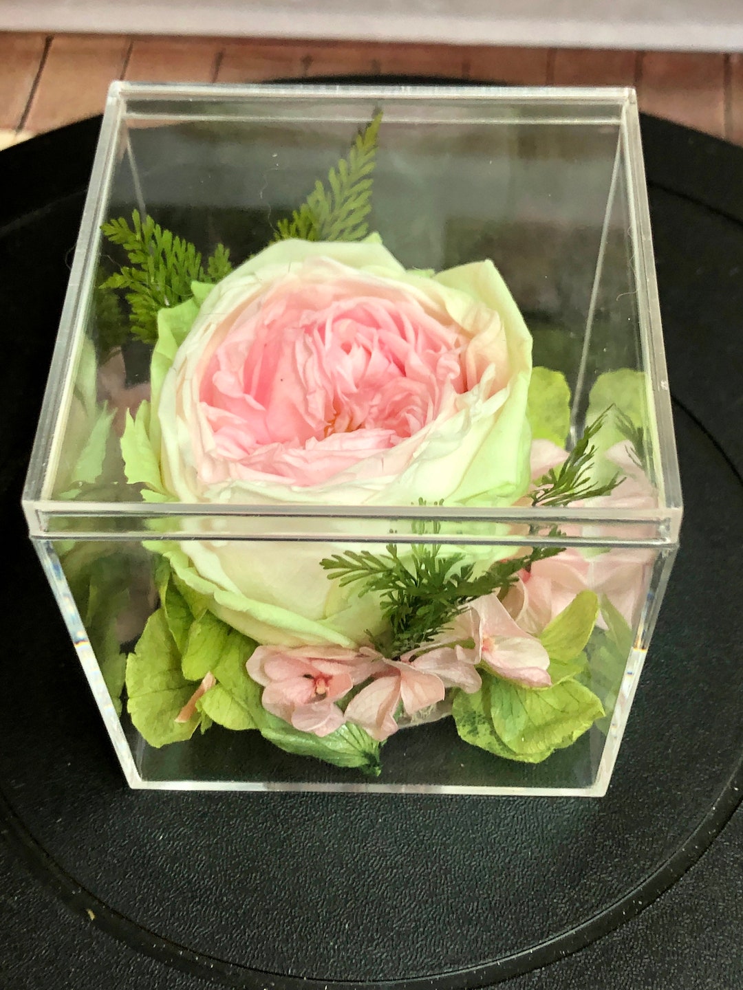Preserved Rose Acrylic Cube: Preserved Floral Arrangement, Party Favor ...