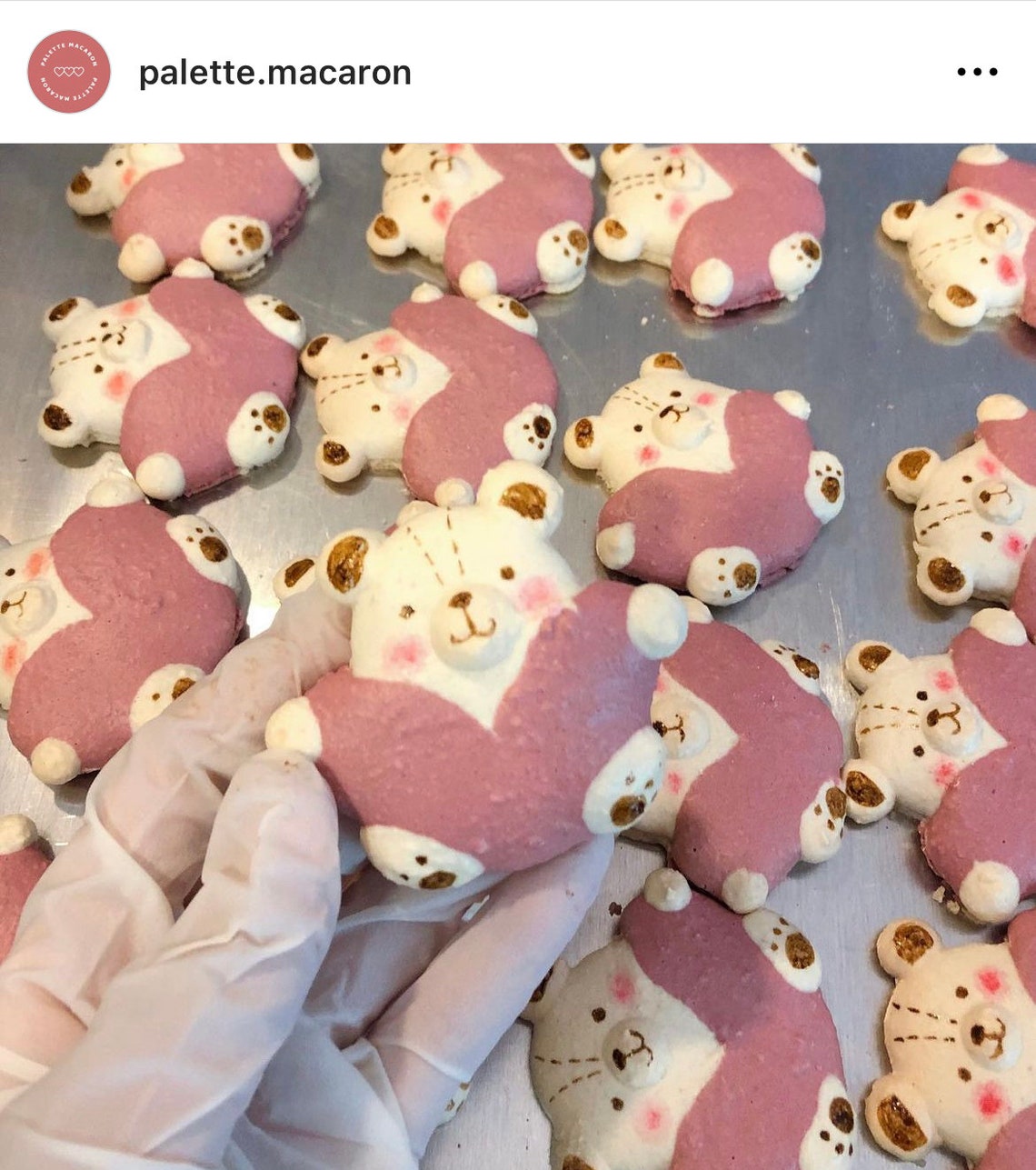 Printable Bear-heart Macaron Template - Etsy