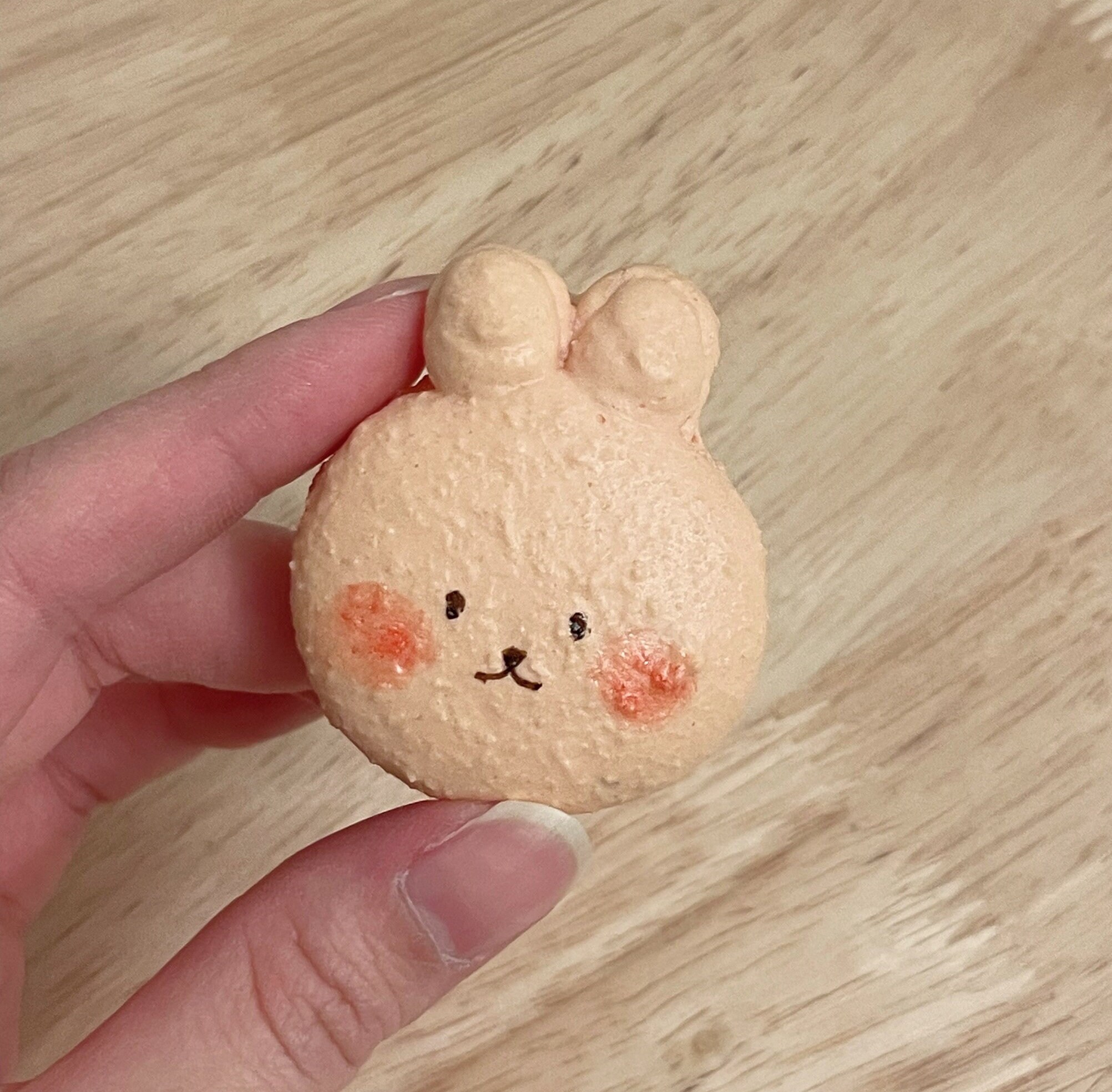 Bunny Theme Trio Design Printable Macaron Template - Etsy