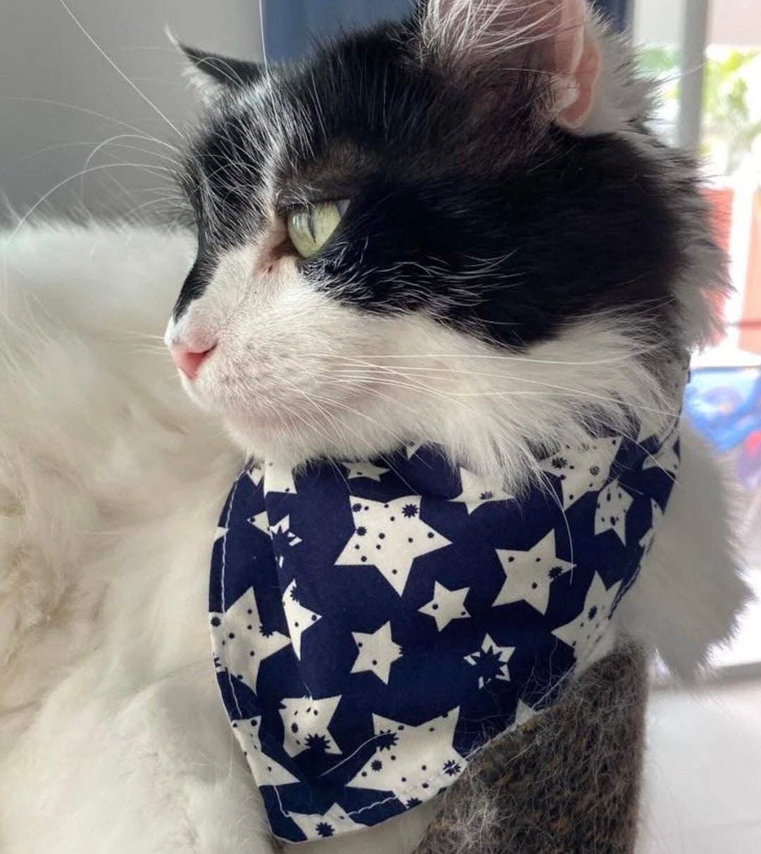 So Cute Handmade Cat Bandana! Adorable Patterns! - Etsy