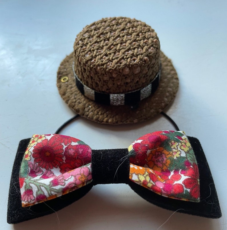 Tiny Boater Hat and Tie Set – Guinea Pig, Small Pet Outfit - Etsy