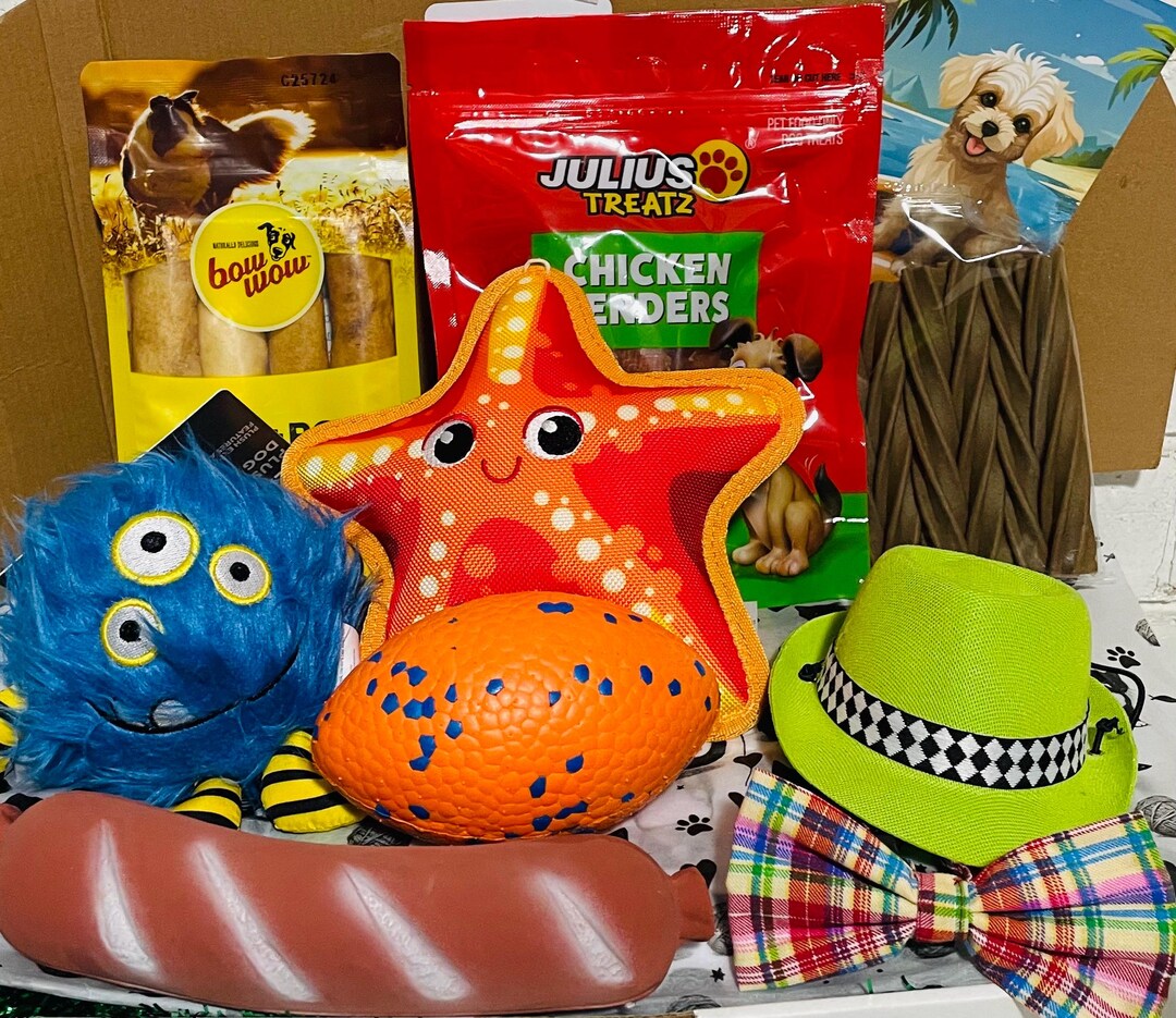 Dog Gift Box Hamper Gift for Dog Present for Puppy Dog Birthday Box ...