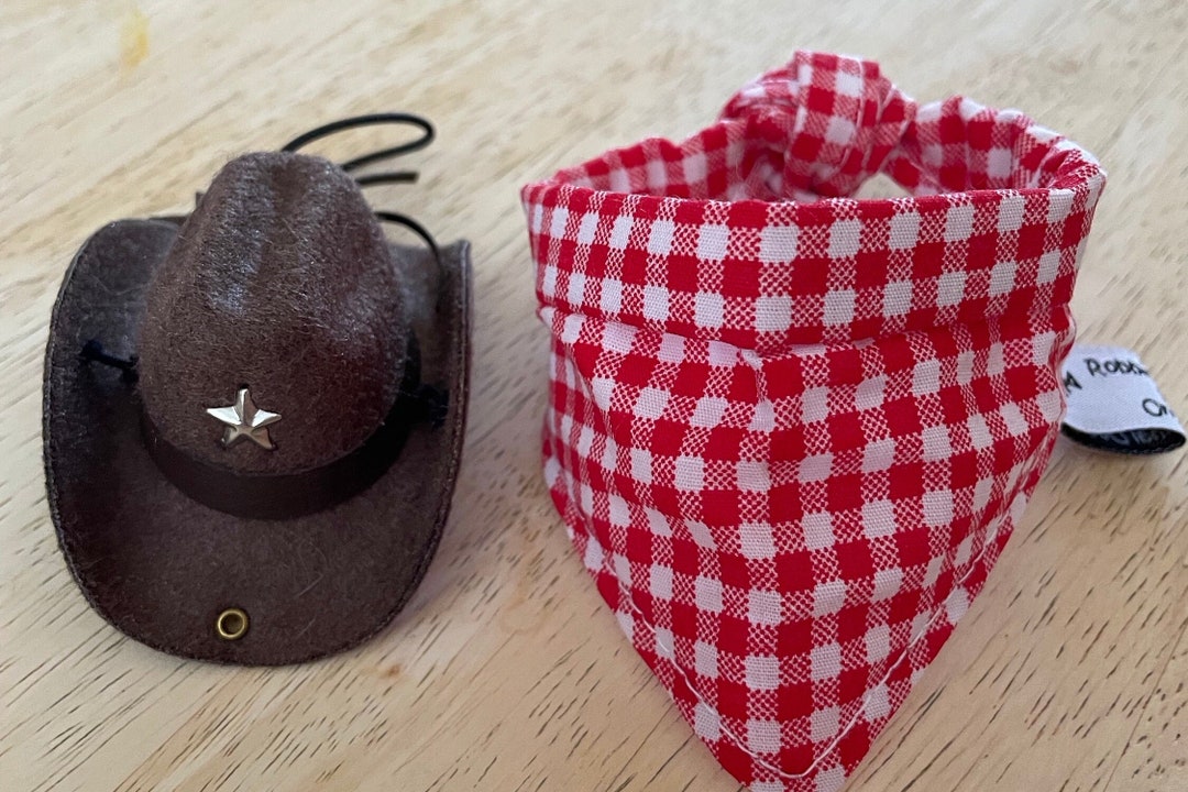 Cute Tiny Guinea Pig Cowboy Hat and Handmade Bandana Set - Hat for ...
