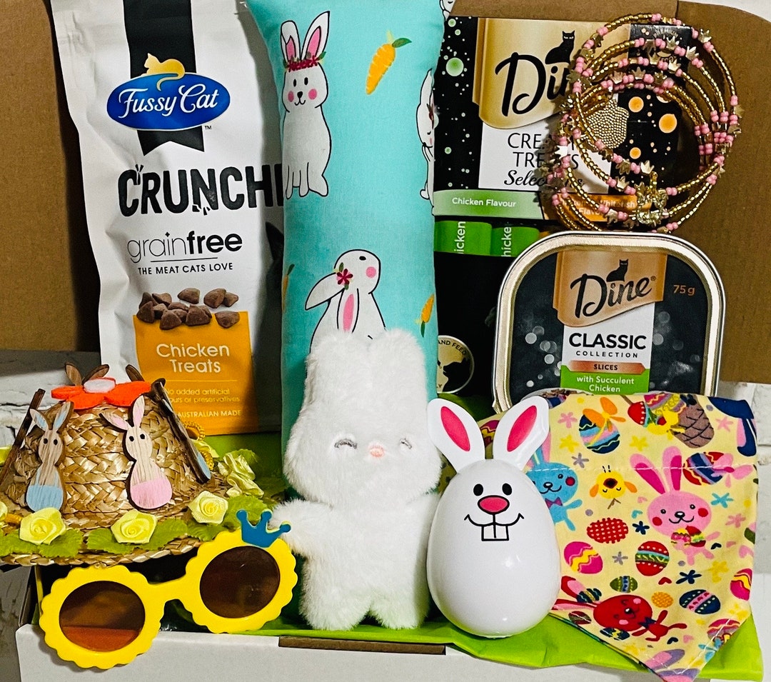 Cat Kitten Easter Gift Box Hamper Easter Present for Cat Goody Box Cat ...
