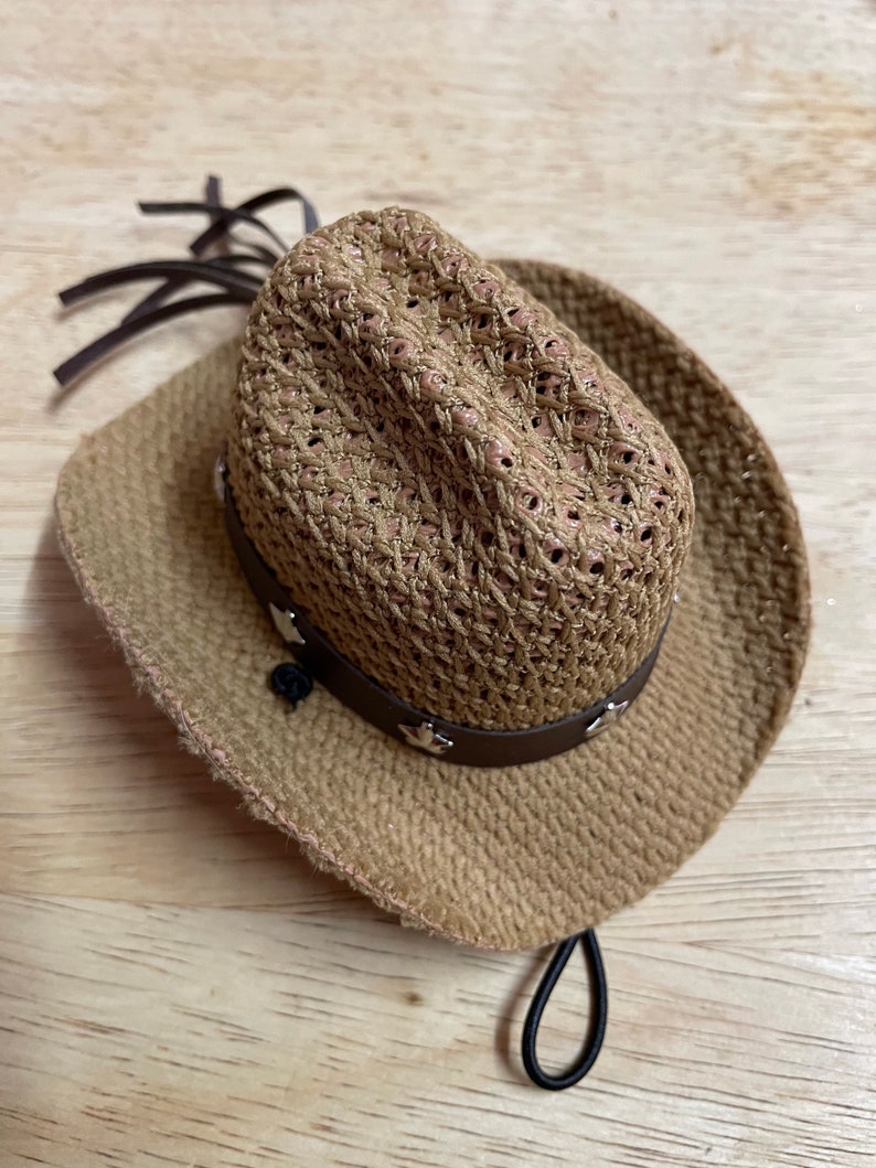 Cat Dog Stetson Cowboy Hat - Mesh With Tassels - Comfy & Cute! - Etsy