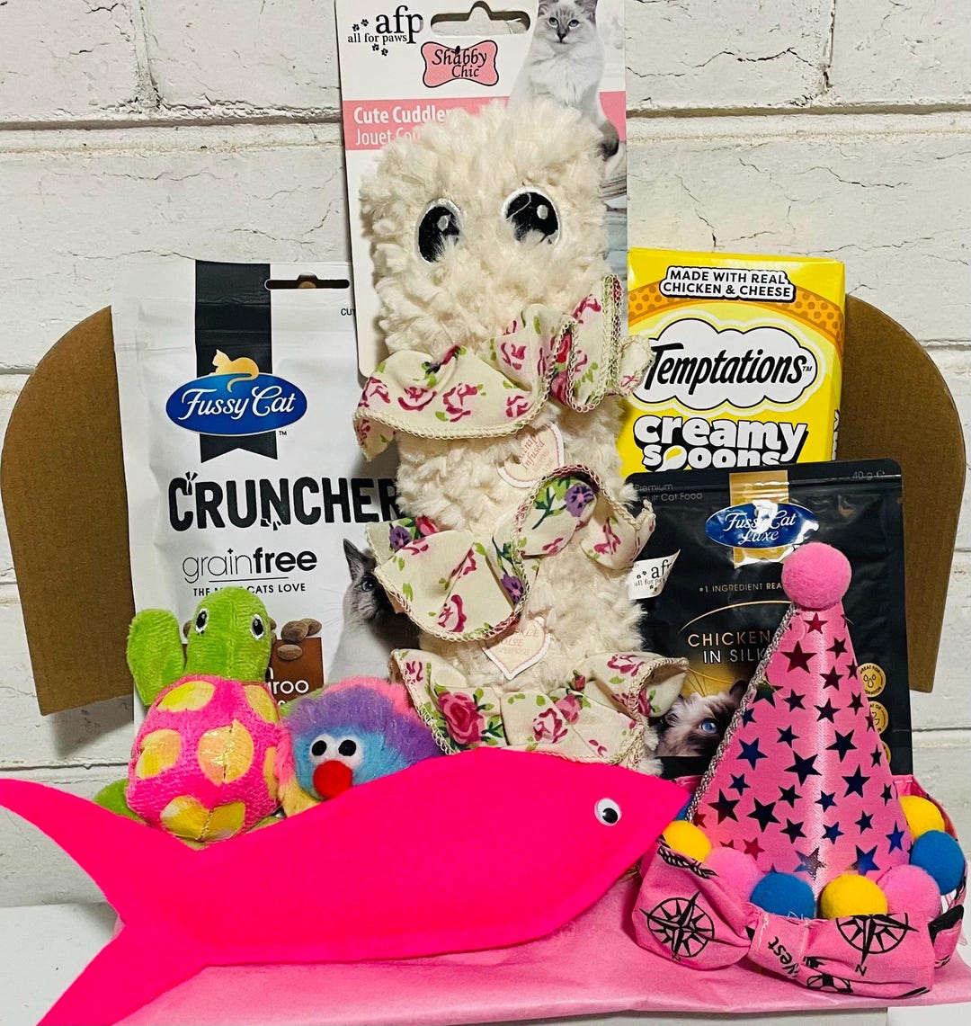 Amazing Cat Gift Box Hamper Cat Birthday Box Party Pack Cat Toy Box ...
