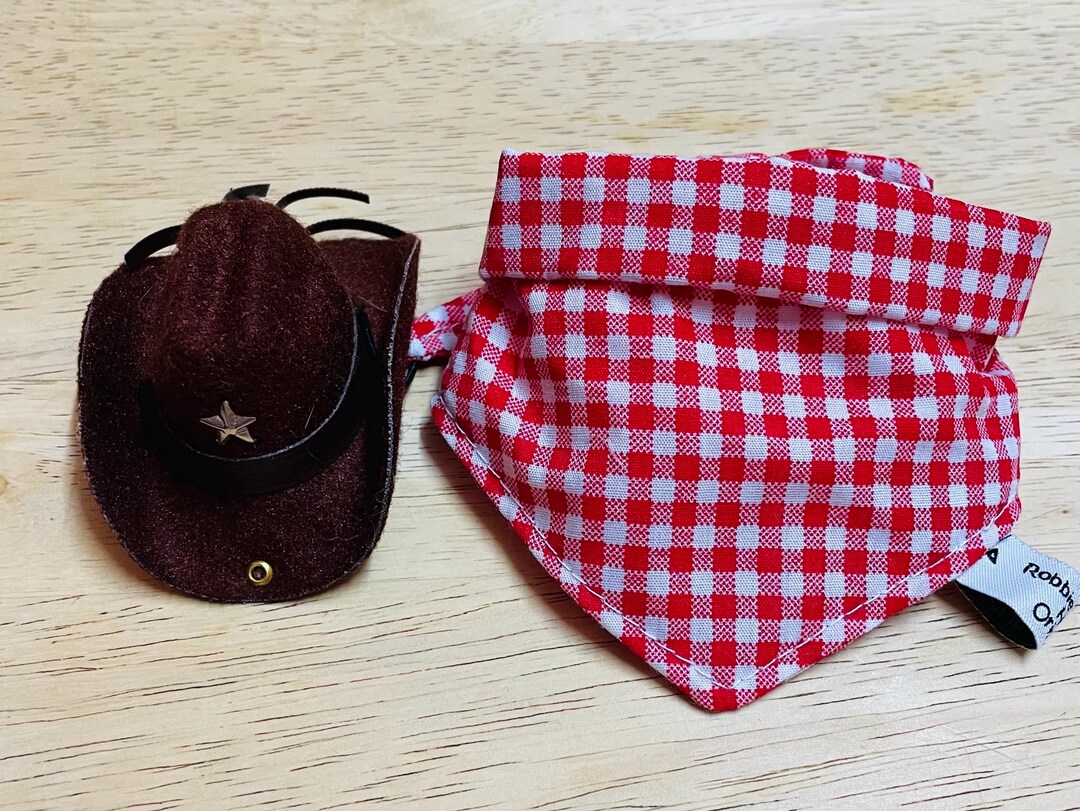 Cute Tiny Guinea Pig Cowboy Hat and Handmade Bandana Set - Hat for ...